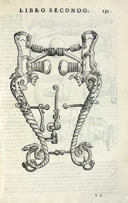 Horse. FERRARO. Cavallo frenato di Pirro Antonio Ferraro napolitano ...