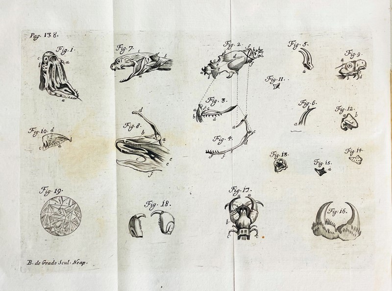 Poison. MEAD. Mechanica expositio venenorum. (1739) - Asta RARE BOOKS ...